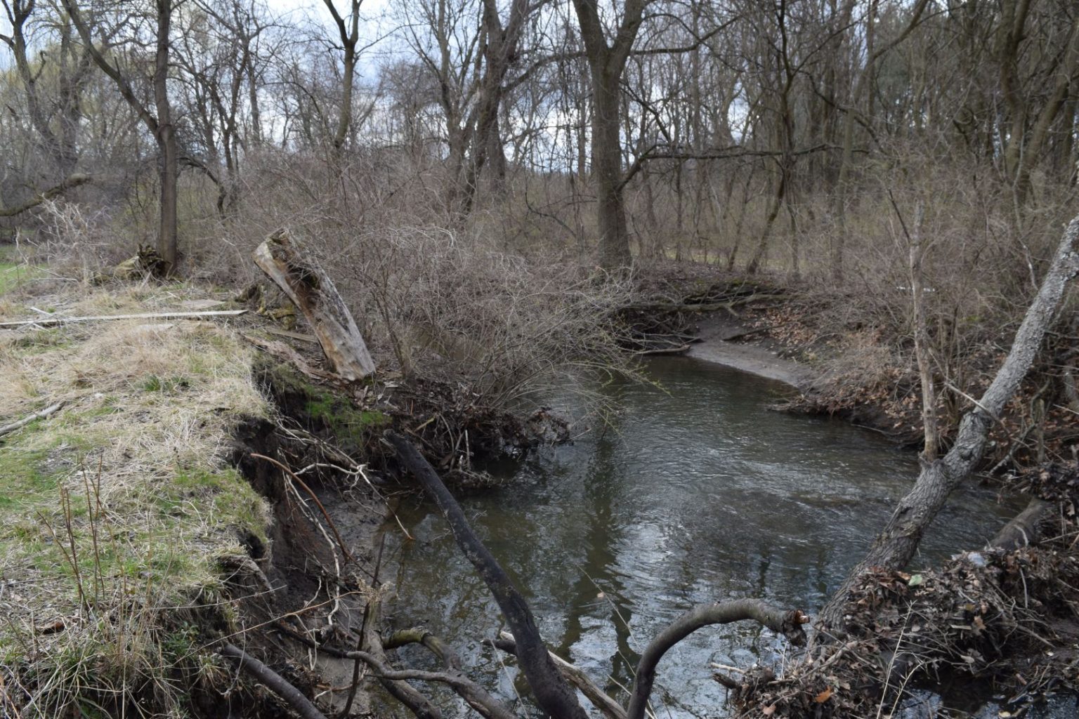 Project – Hill Ditch Restoration at Toledo NST Center – Maumee AOC